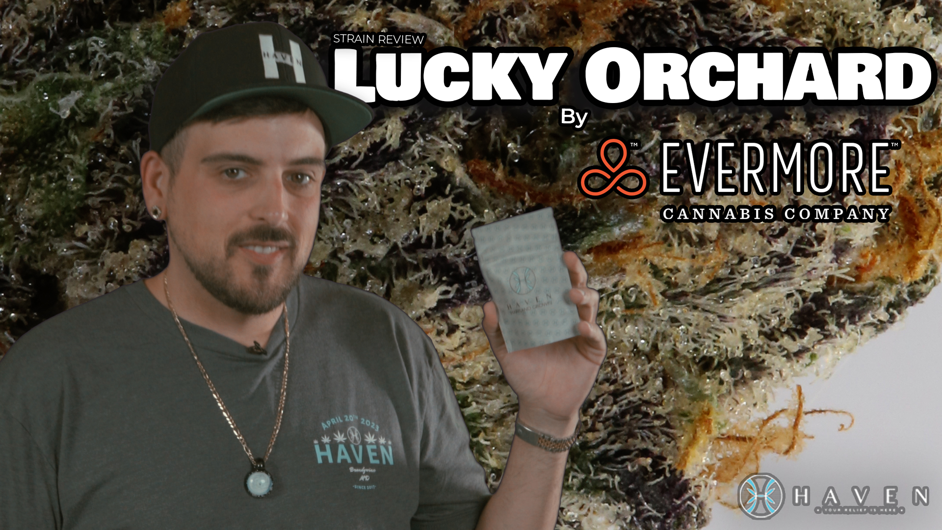 Lucky Orchard by Evermore - Haven