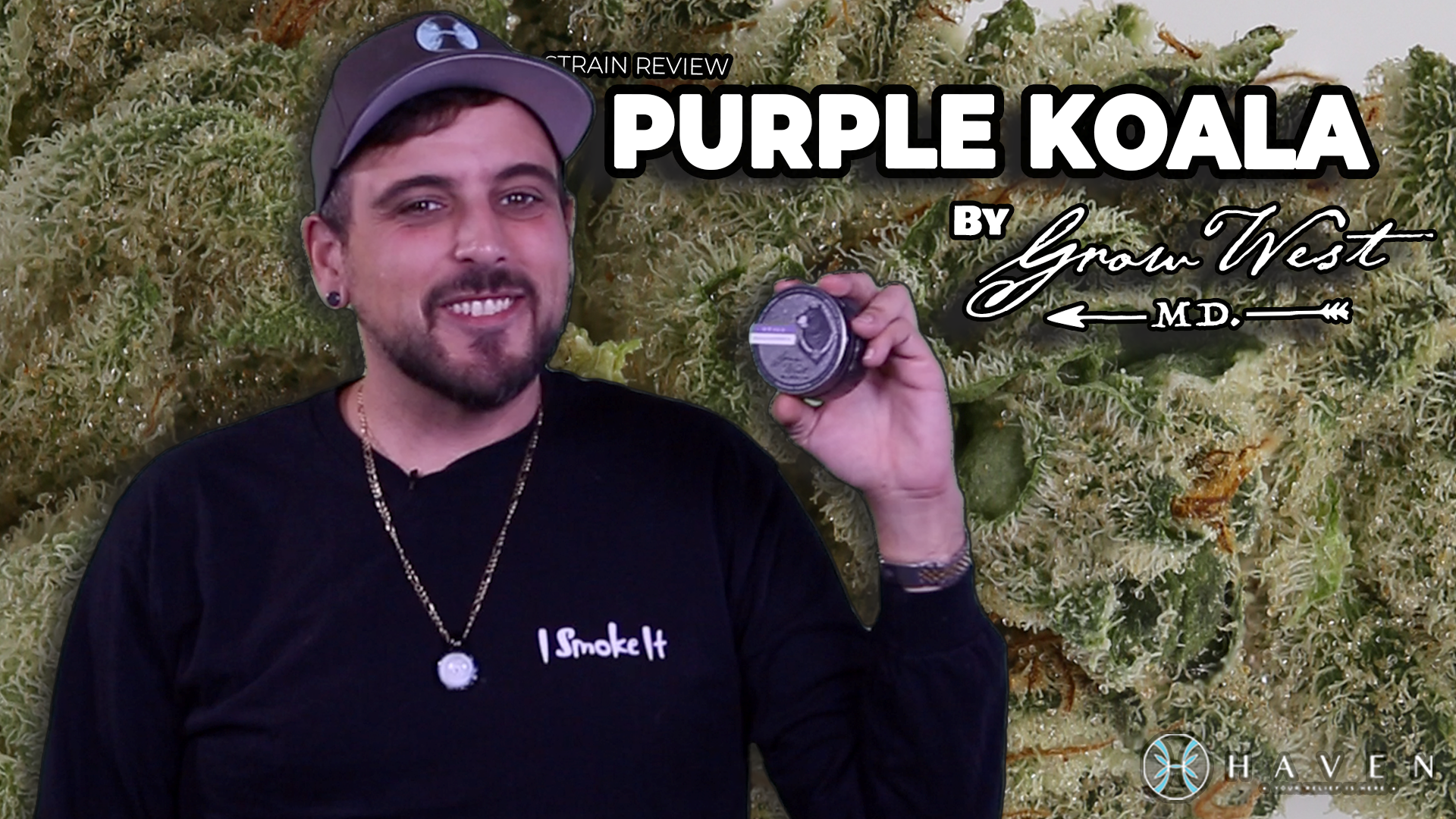 Purple Koala by Grow West - Haven