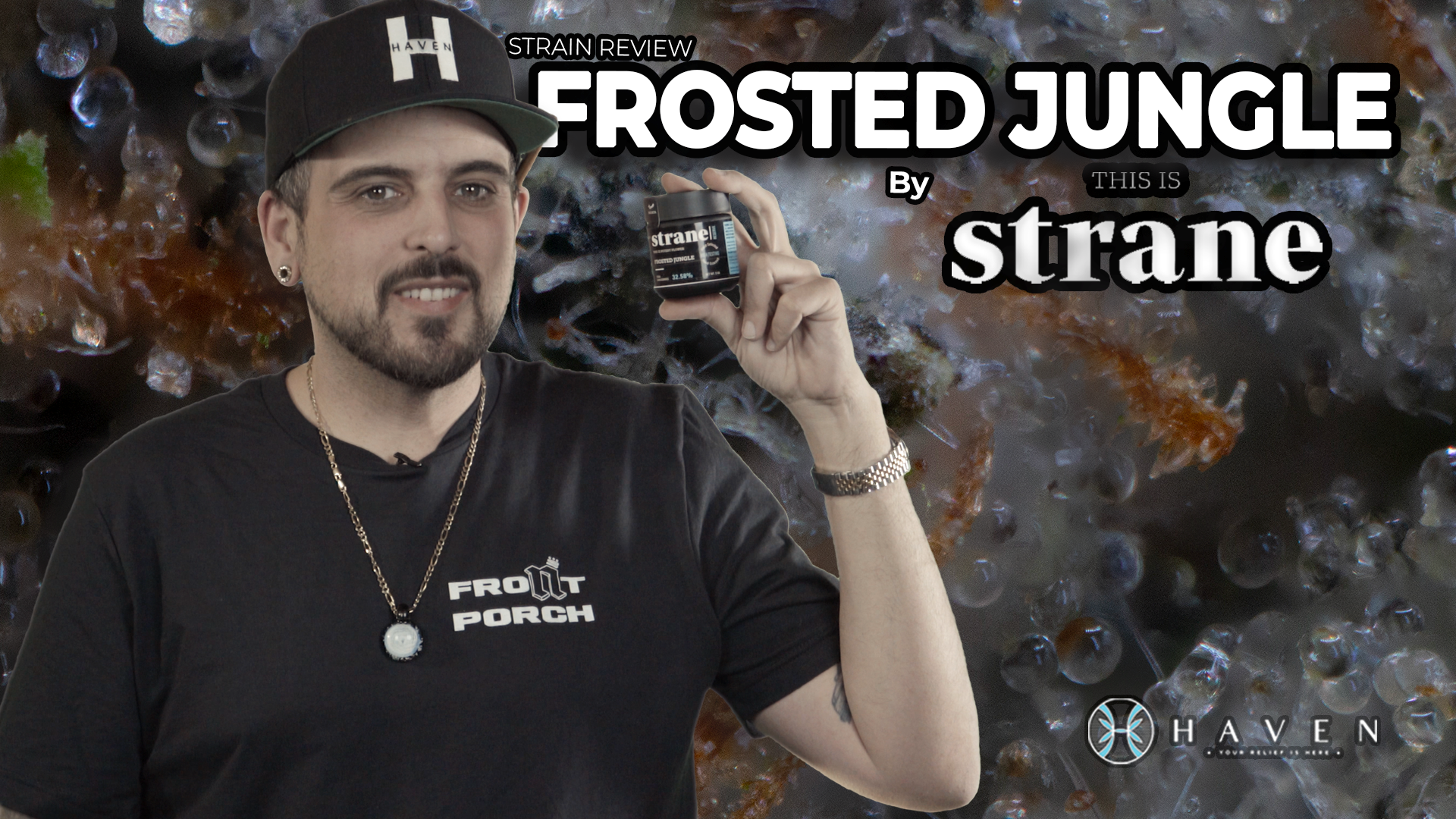 Frosted Jungle by Strane - Haven