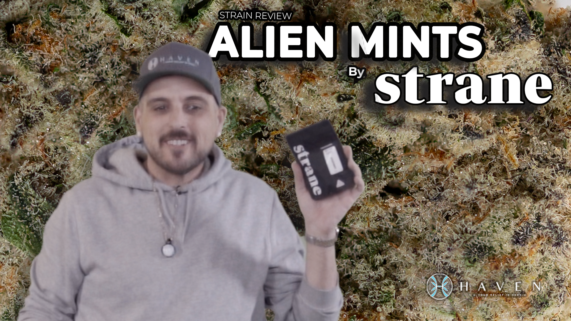 Alien Mints by Strane - Haven