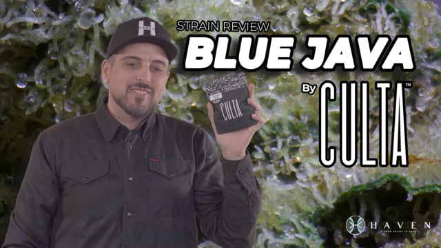 Blue Java by Culta: 7 Powerful Reasons Why This Strain is a Game ...