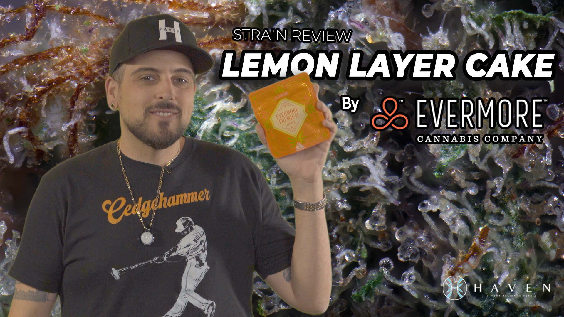 Lemon Layer Cake by Evermore: A Bold Citrus Experience - Haven