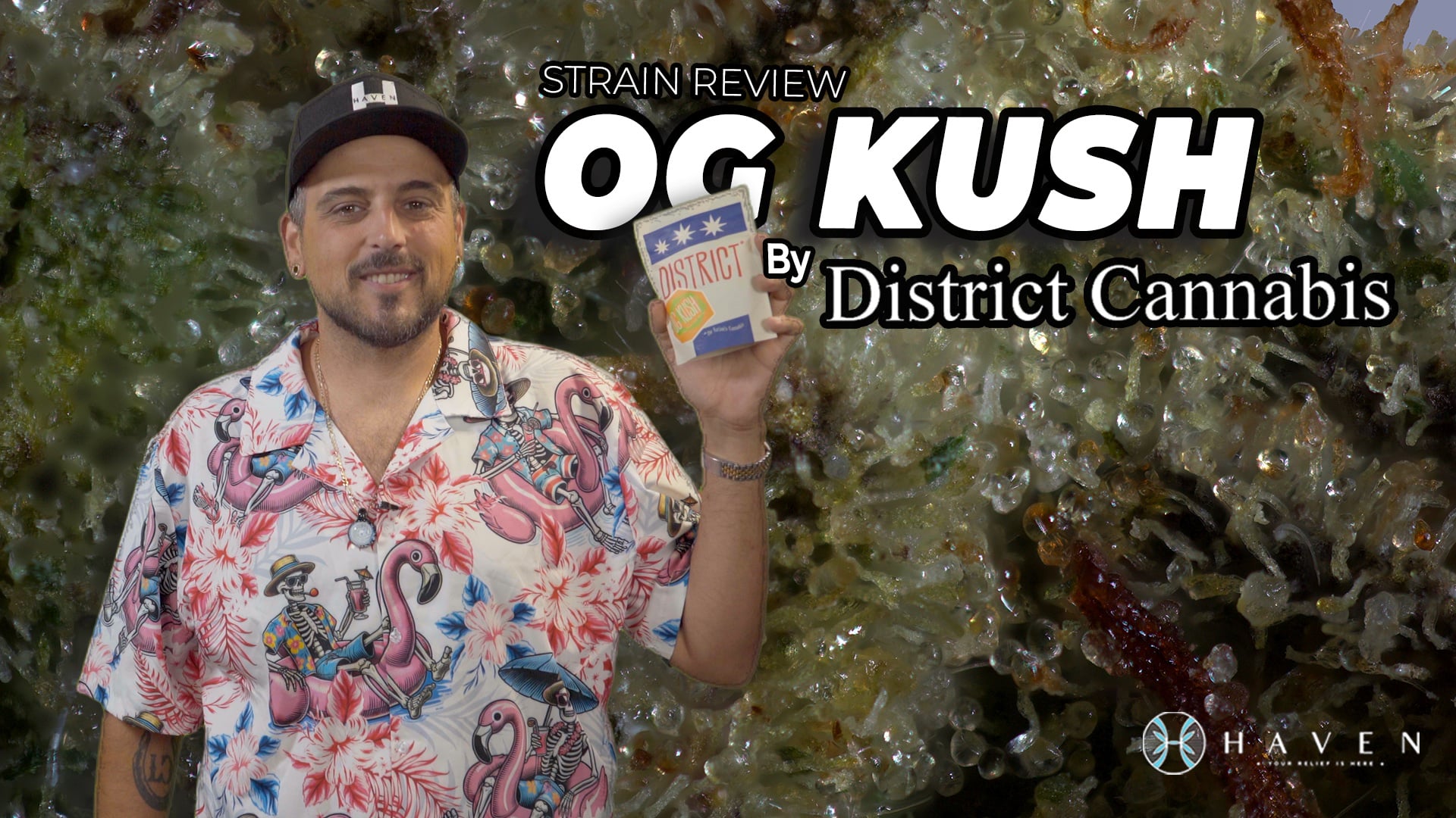OG Kush by District Cannabis: A West Coast Legendary Reimagined in ...