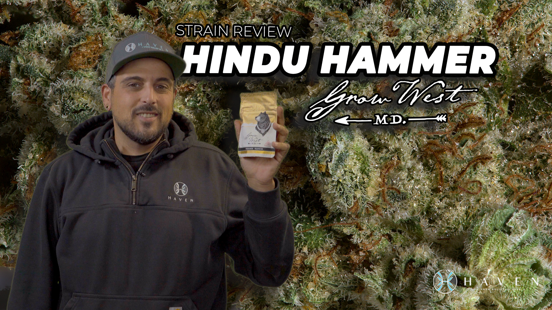 Hindu Hammer by Grow West: A Potent and Powerful 27% Indica Hybrid for ...
